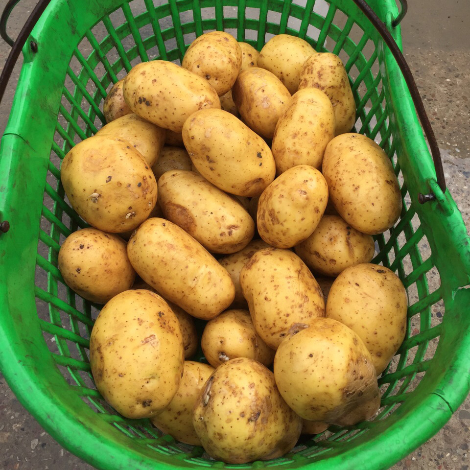 Produkte - Gemüsehandel Hagge GmbH